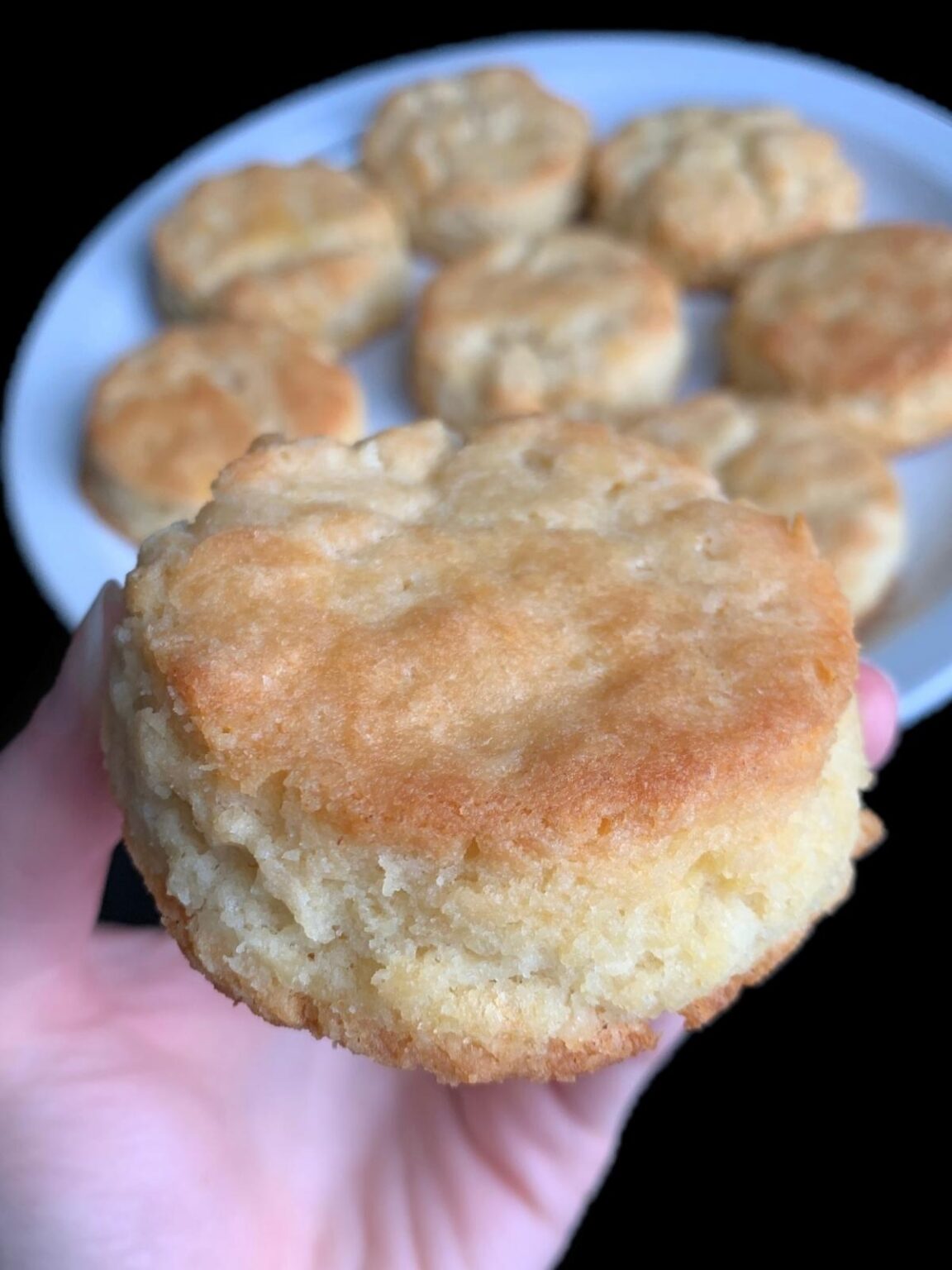 The Best Keto Biscuits Recipe - Flaky, Buttery, Low Carb